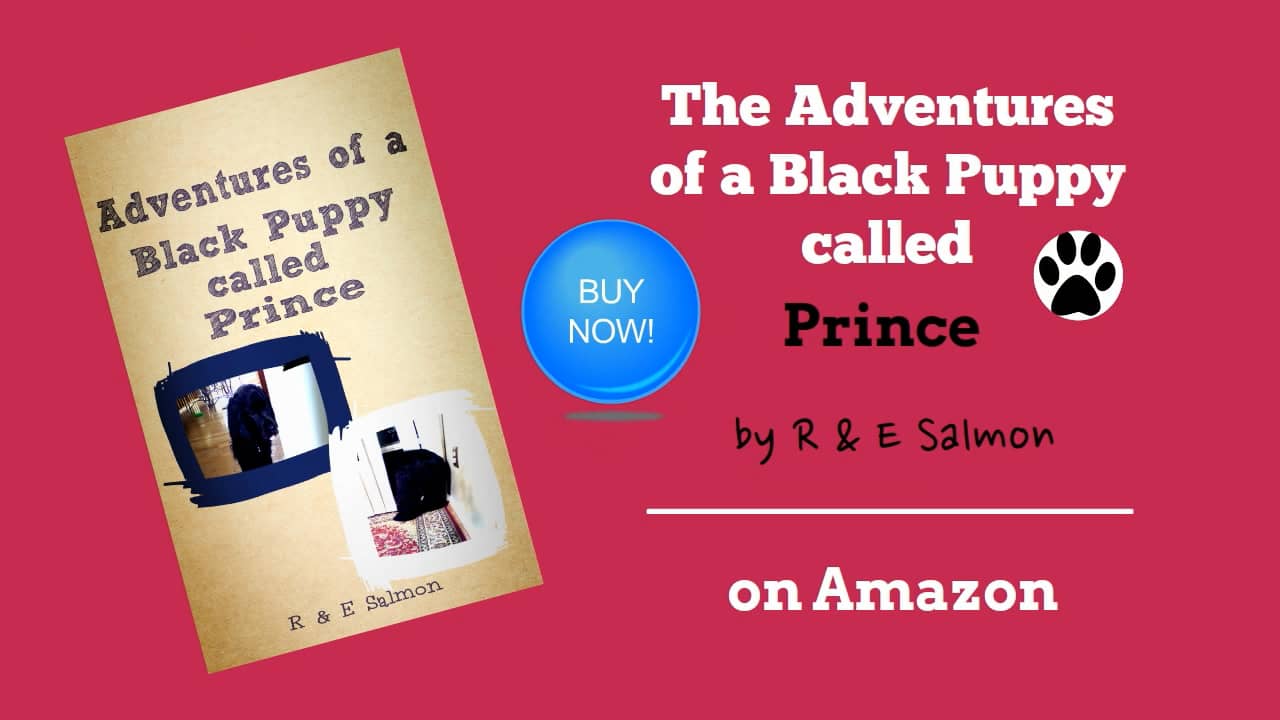 Trailer - The Adventures of a Black Puppy Called Prince on Vimeo