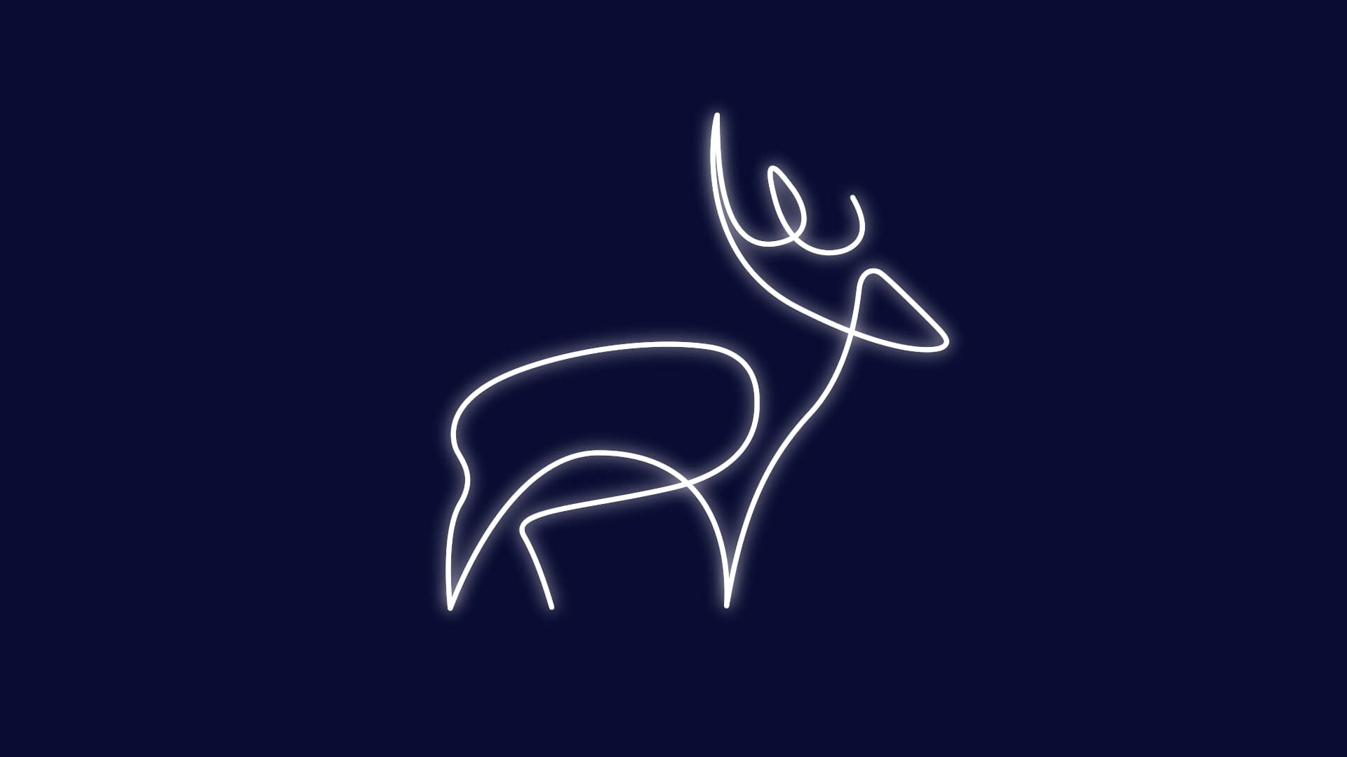 Line art animation blue on Vimeo