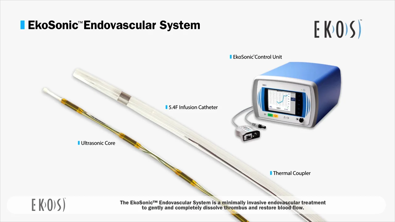 The EkoSonic™ Endovascular System