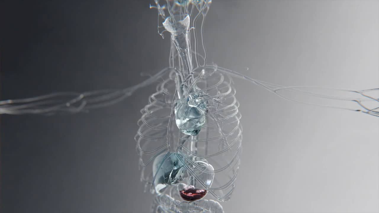 Alcohol & Health "Glass Body" on Vimeo