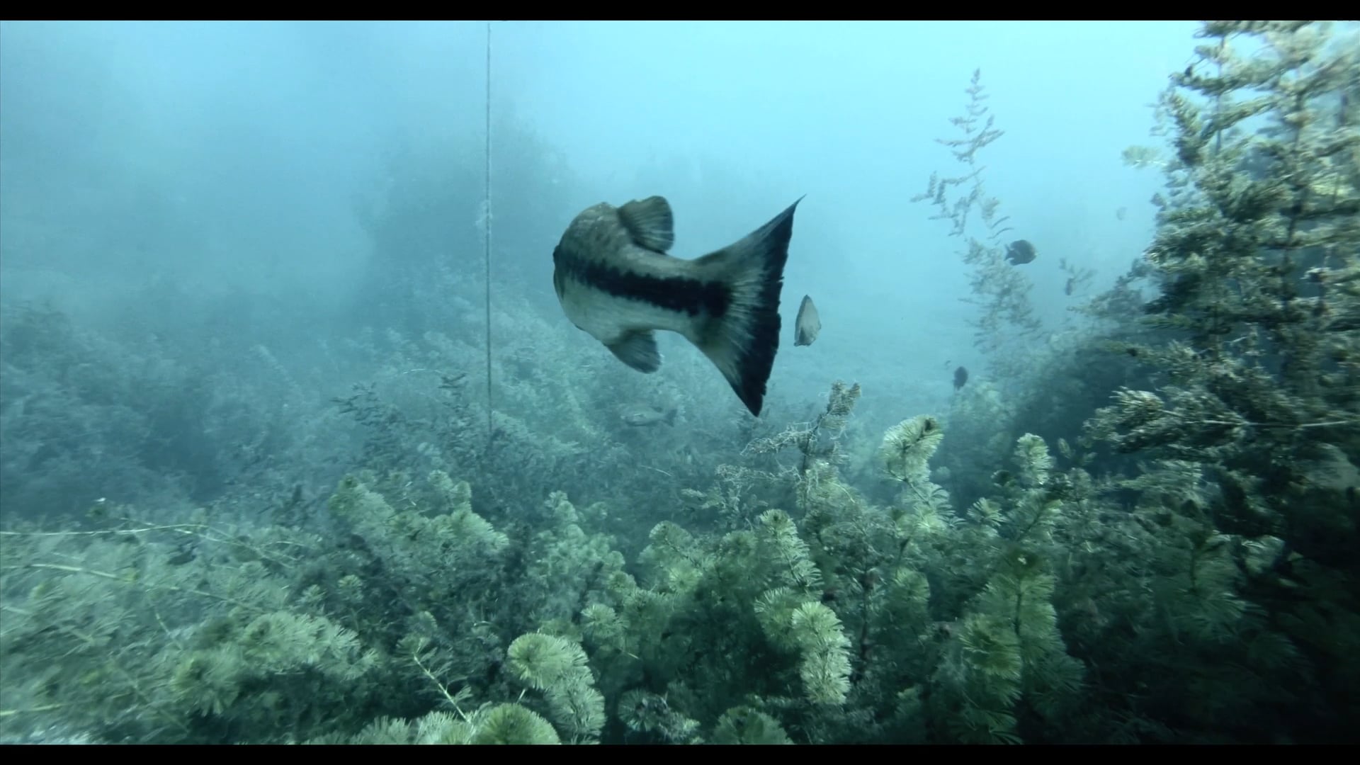 Open Water Dive on Vimeo