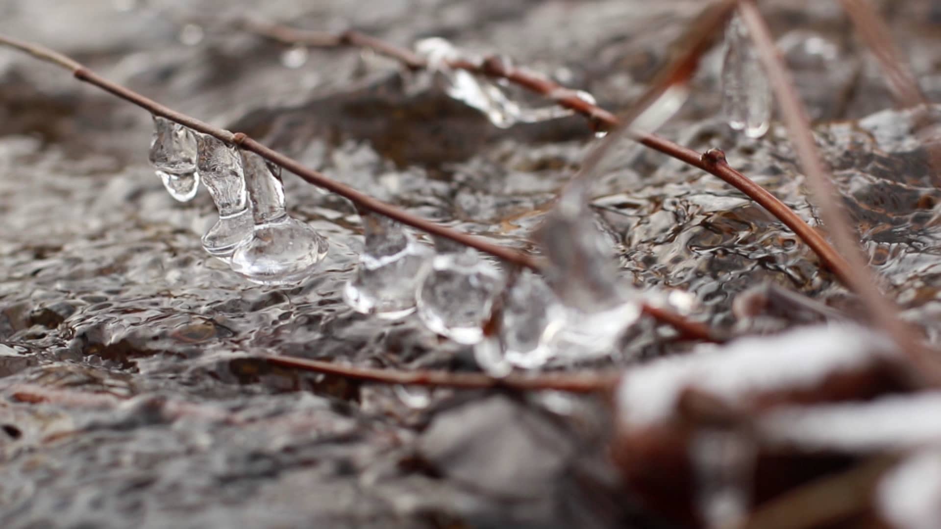 Ice Droplets, branches and water on Vimeo