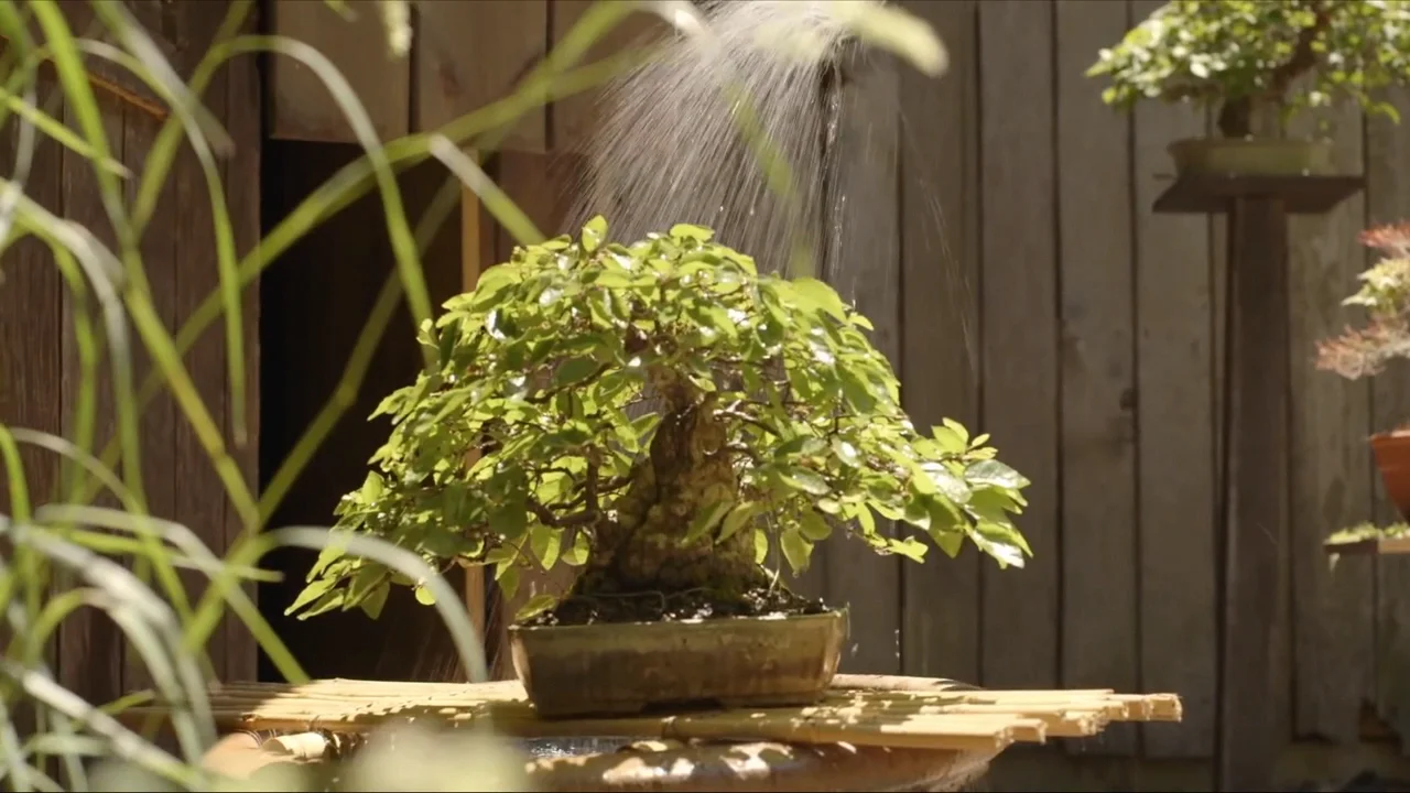Offering Bumper 2 on Vimeo
