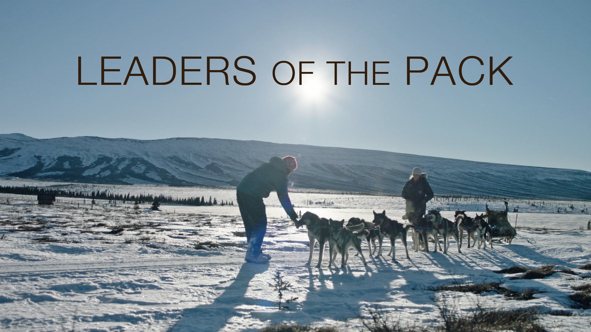 LEADERS OF THE PACK on Vimeo
