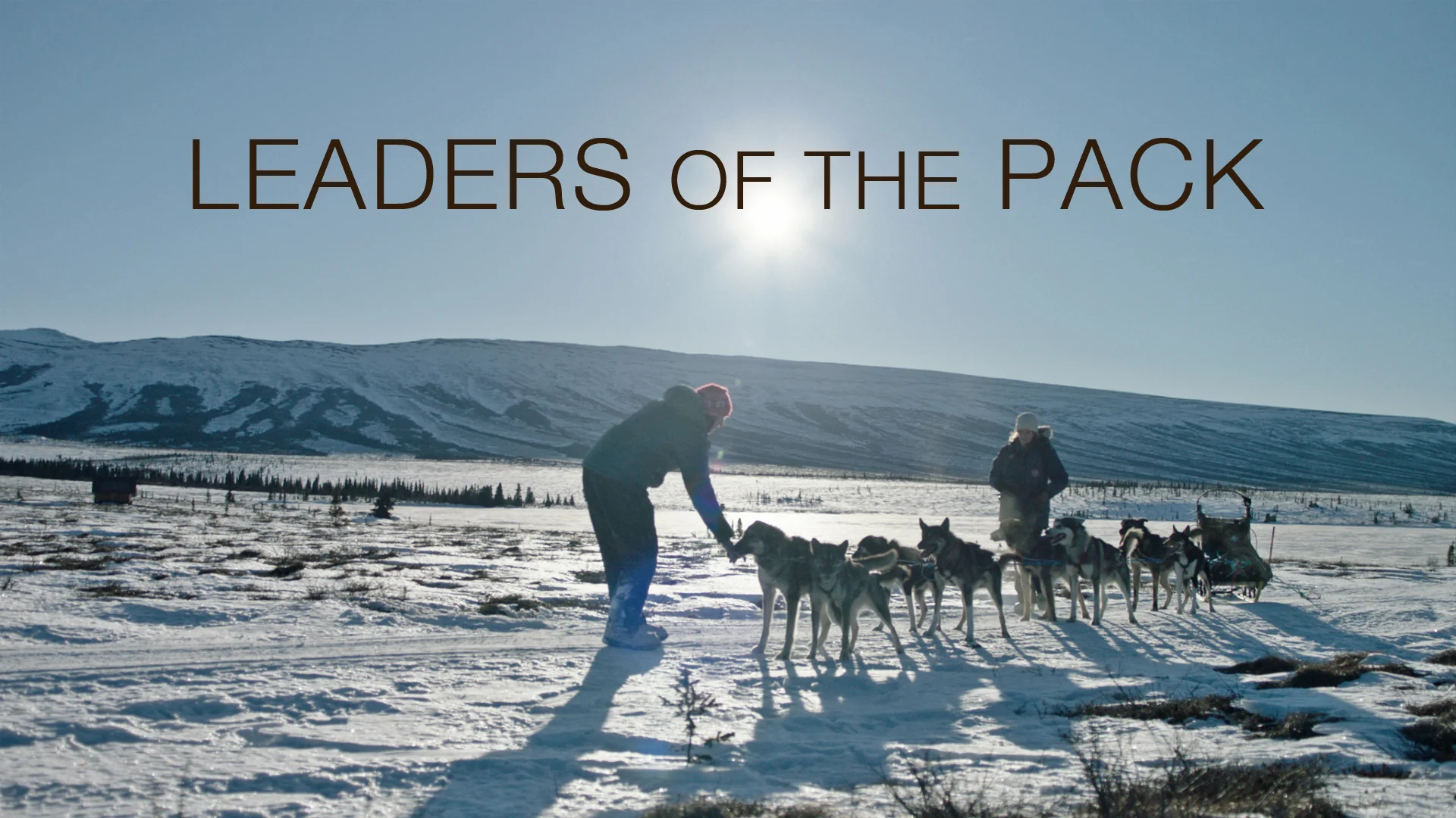 LEADERS OF THE PACK on Vimeo