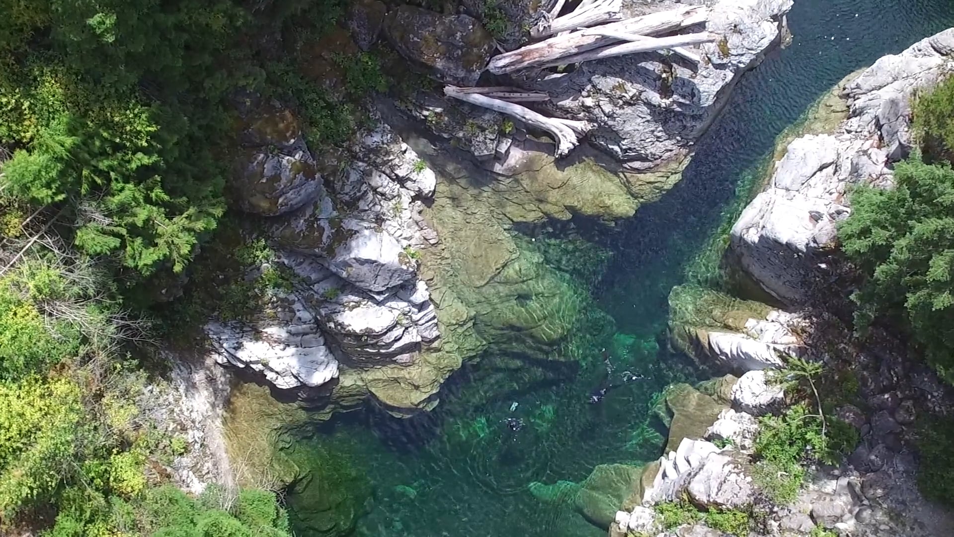 Exploring the Heber River, British Columbia on Vimeo