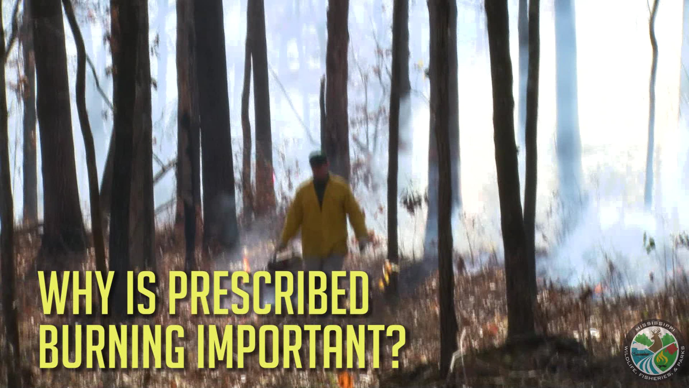 Why is Prescribed Burning Important?