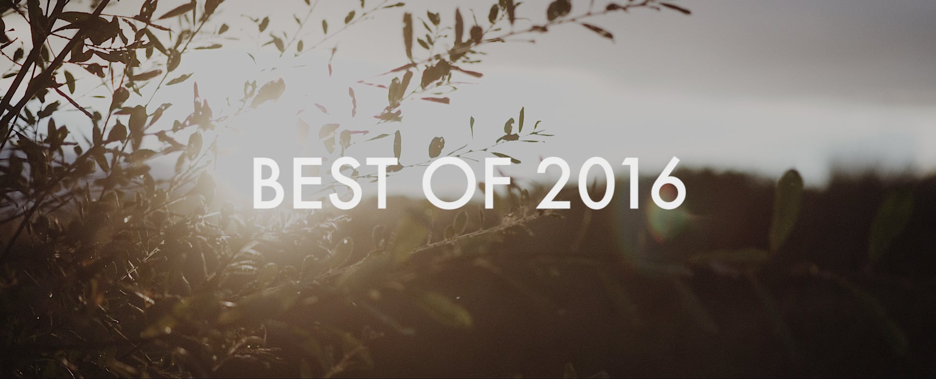 Best of 2016 on Vimeo