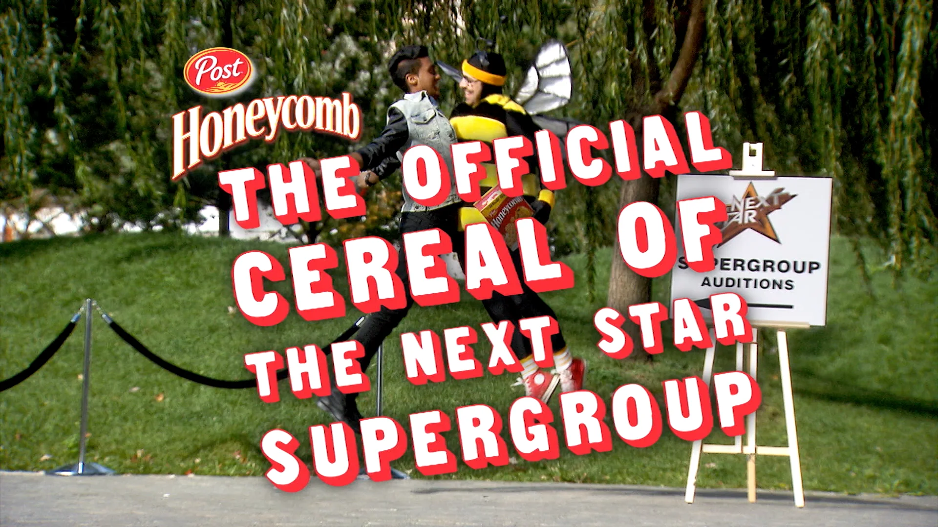 Post Honeycomb - The Next Star SuperGroup