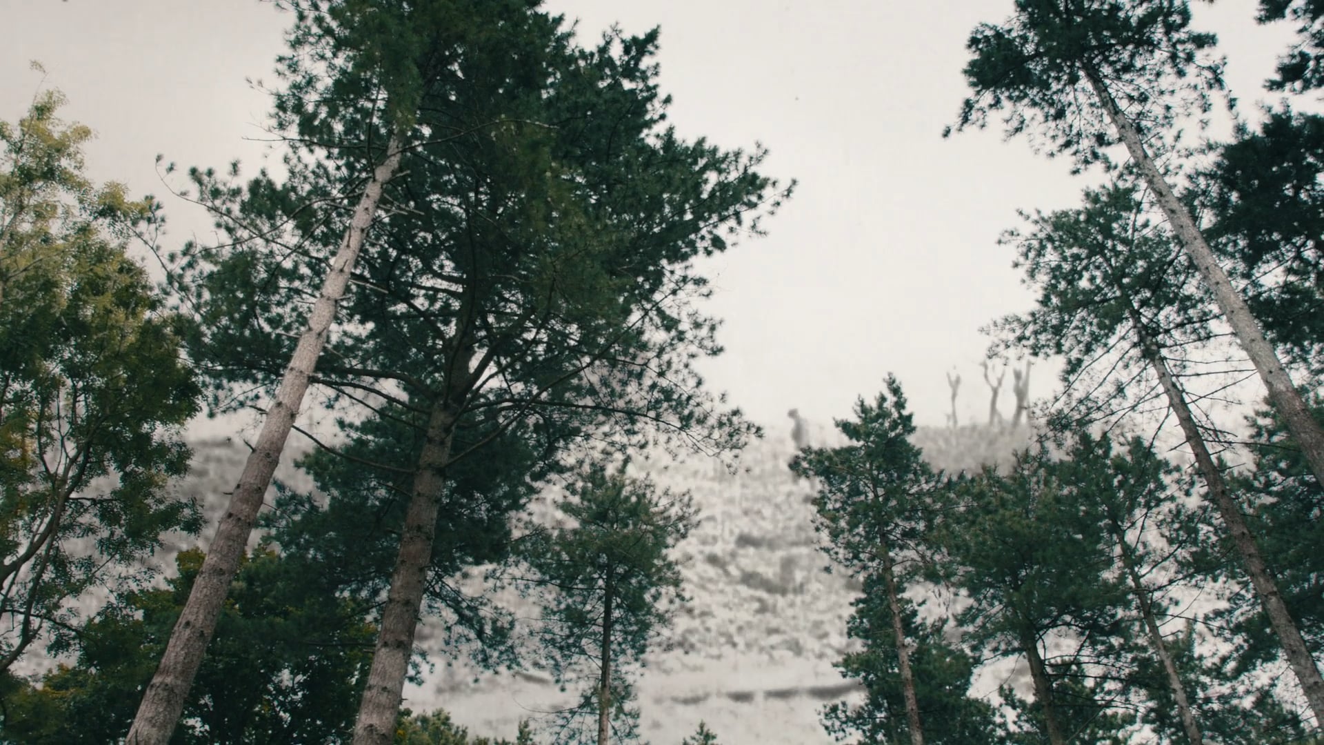 Flanders remembers Samuel Frickleton on Vimeo