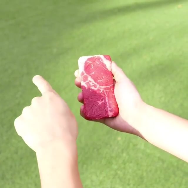 Meat User Interface Guidelines on Vimeo