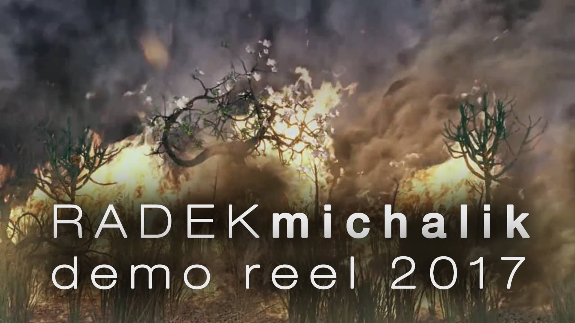 Radek Michalik VFX Reel 2017 on Vimeo