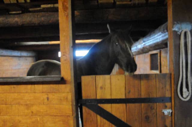 Welcome to Dark Horse Ranch, Rainier, Oregon on Vimeo