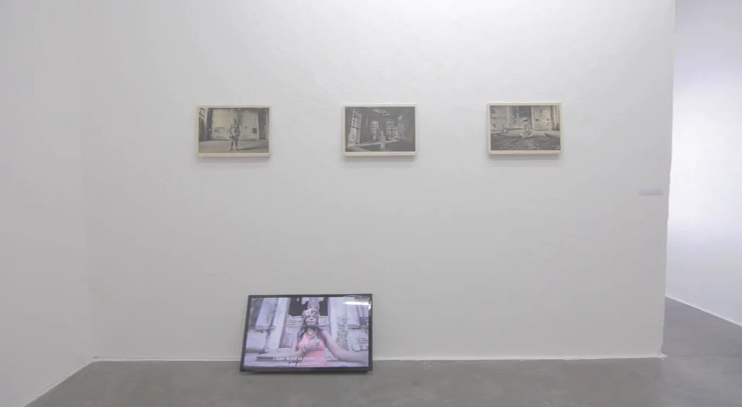 AS ÁRVORES VOLTARÃO A FALAR ///. (sample) exhibition installation at ...