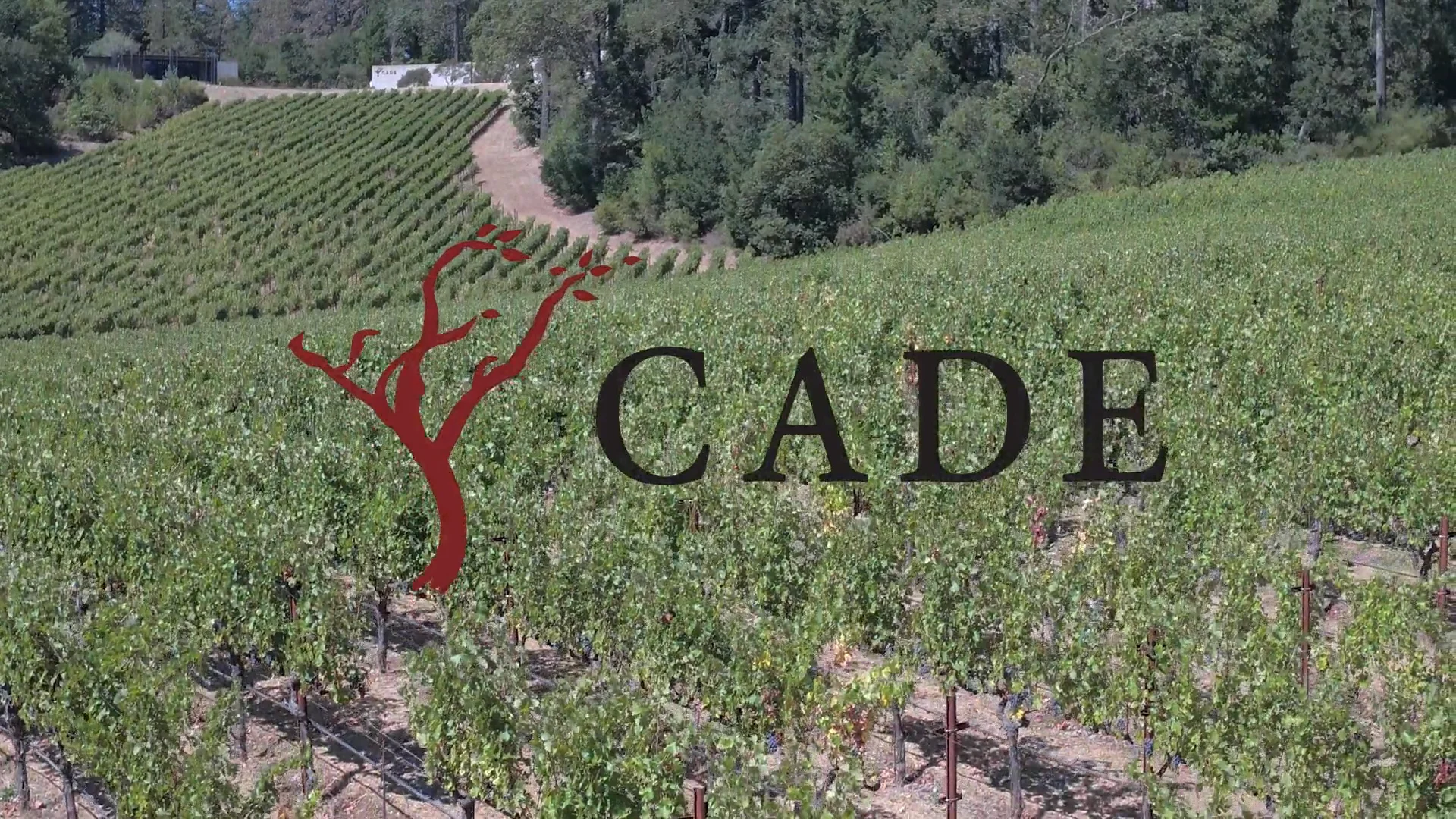Cade Estate Winery on Howell Mountain, Napa CA