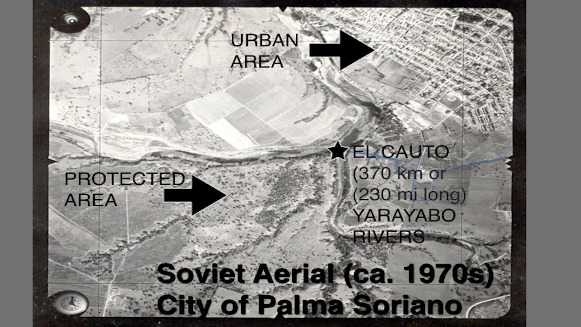 WBS 5 - Maria Ayub on Vimeo