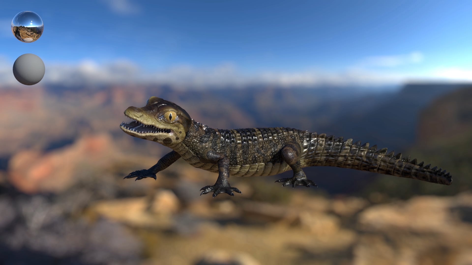 turn baby alligator on Vimeo