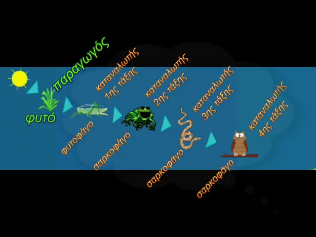 Βιολογία Β cb22c Αυτοτροφοι και ετεροτροφοι on Vimeo