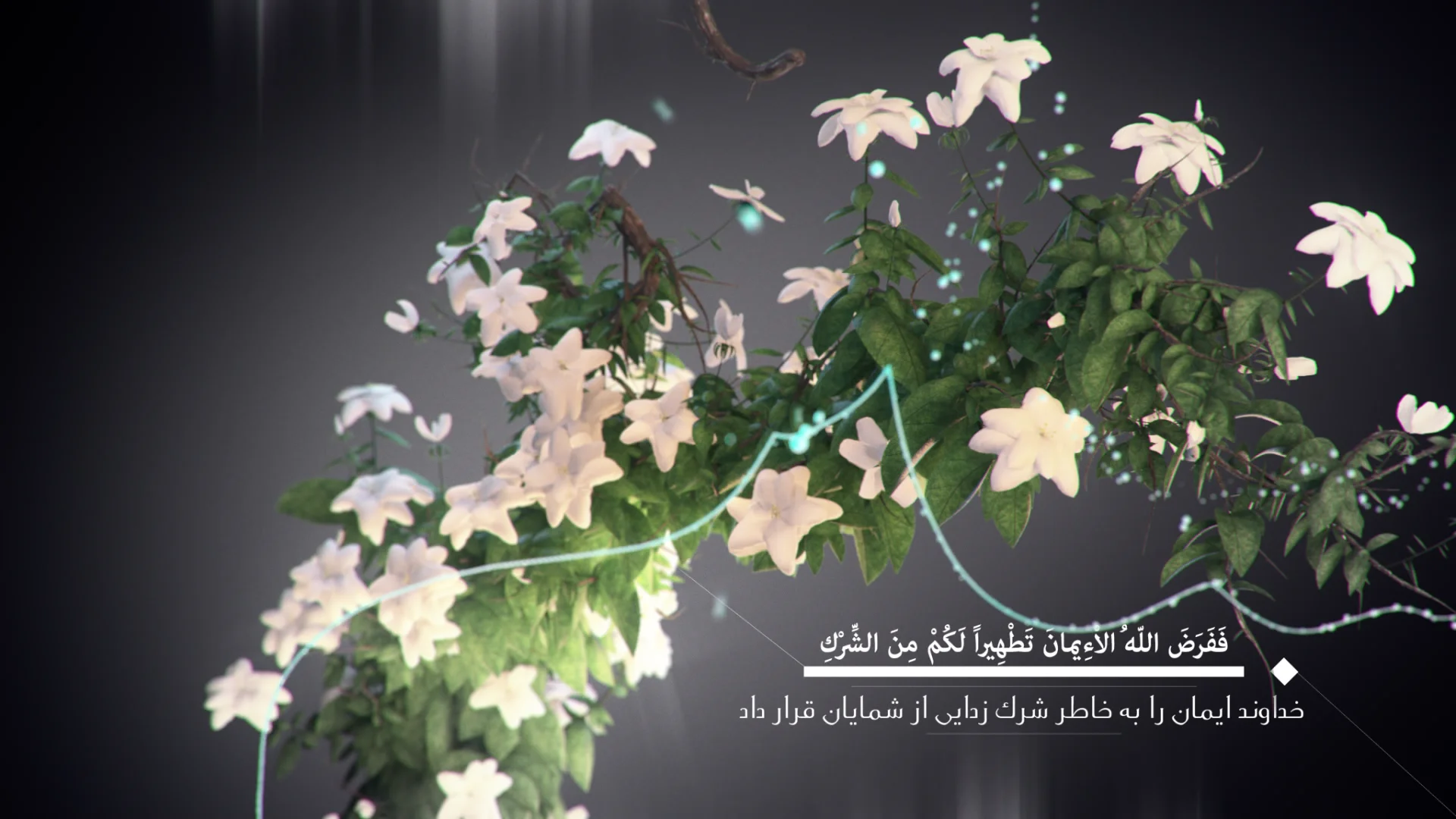 Fadak Book promotion