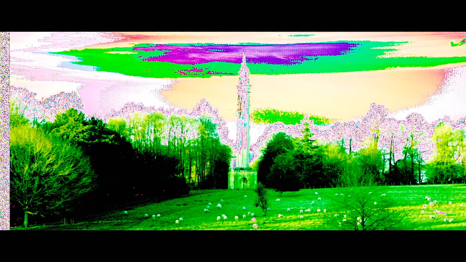 Scott Lyman - Pink Empire, 2016 (trailer) on Vimeo