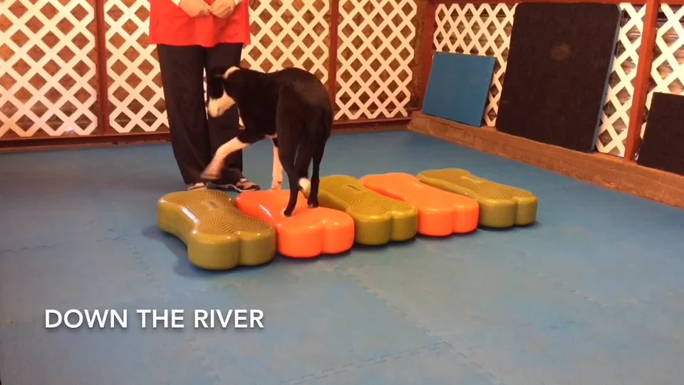 PREHAB 1 - THE RIVER EXERCISE