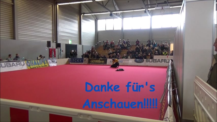 Winterthur 2017 - Stephanie Claßen & Ballou - HTM 1 on Vimeo