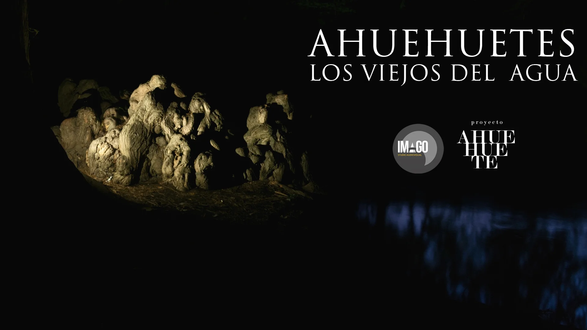 Ahuehuetes, los viejos del agua.