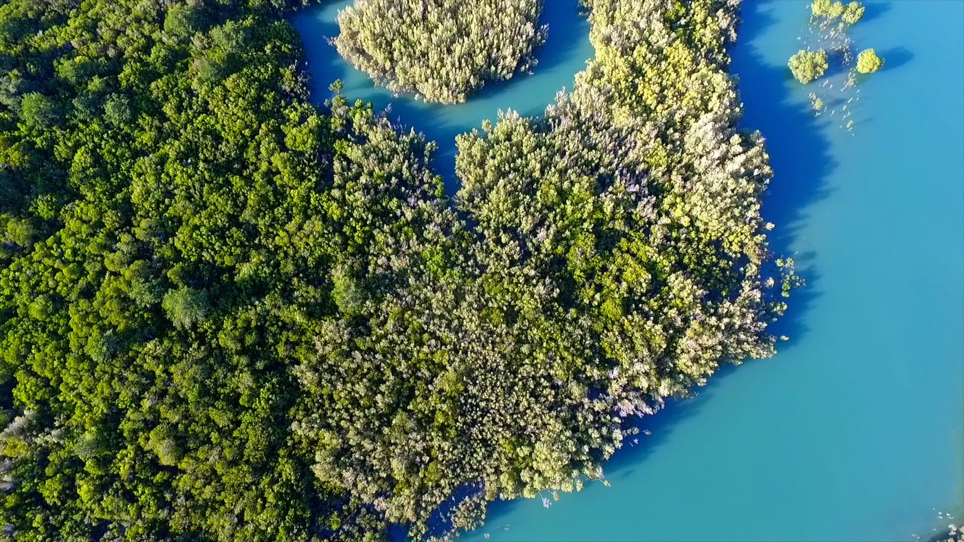 Frontier Photography Tours on Vimeo