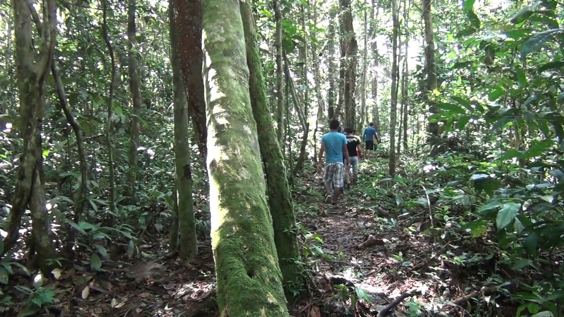 Instrumentos de caza del pueblo Kukama-Kukamiria on Vimeo