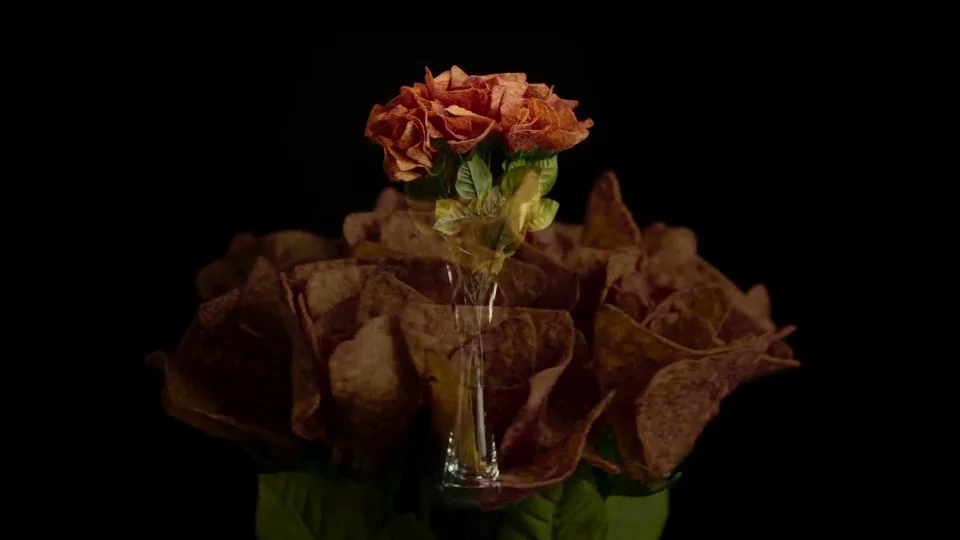 Doritos Ketchup Roses on Vimeo