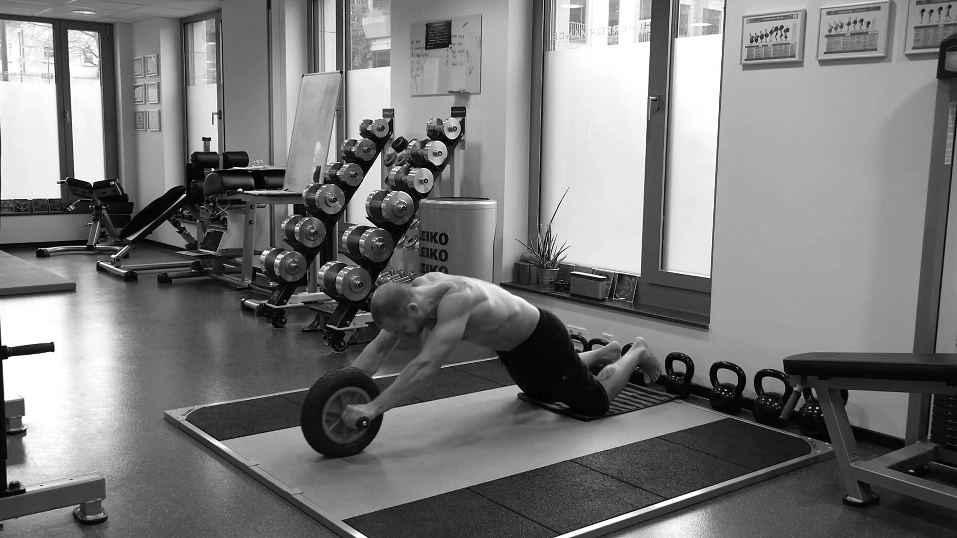 12 Weeks Body Transformation - Kneeling Barbell AB Wheel Rollouts on Vimeo