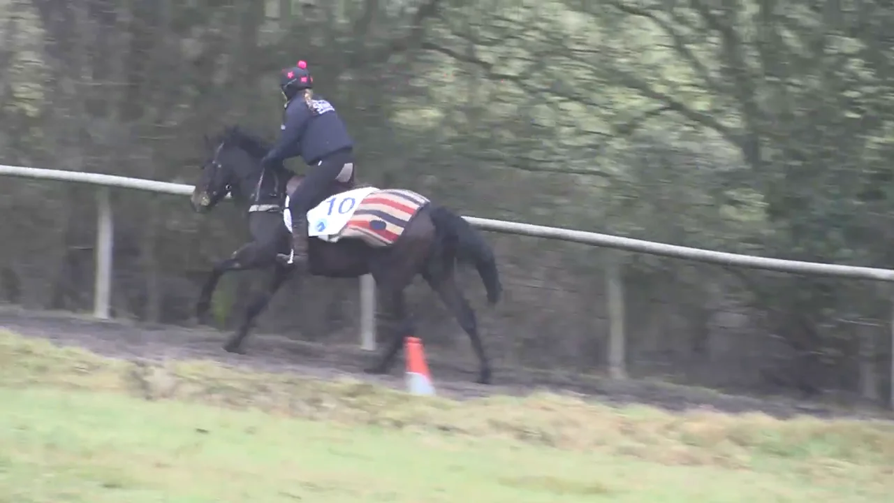 Zebedee Colt (10) on Vimeo