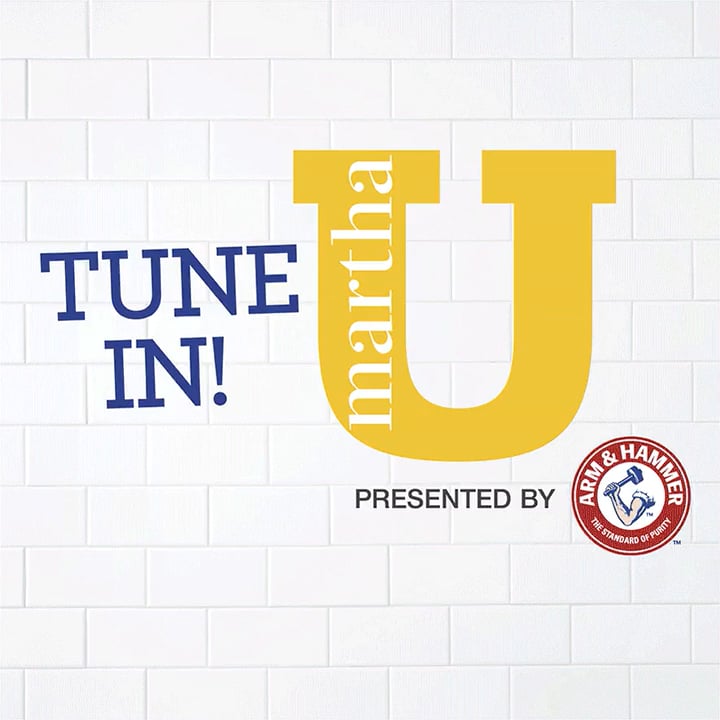 Arm & Hammer/Martha Stewart TIPS: Grout on Vimeo