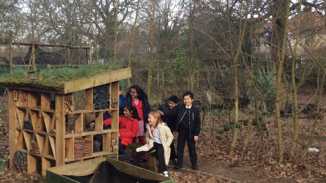 Finham Primary School on Vimeo