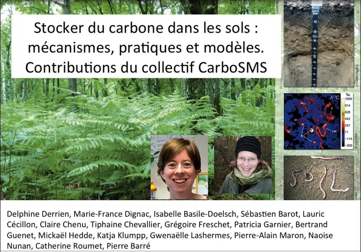 Webinaire AFES (27) - 2017 - D. Derrien (INRA Nancy) et MF Dignac (INRA ...