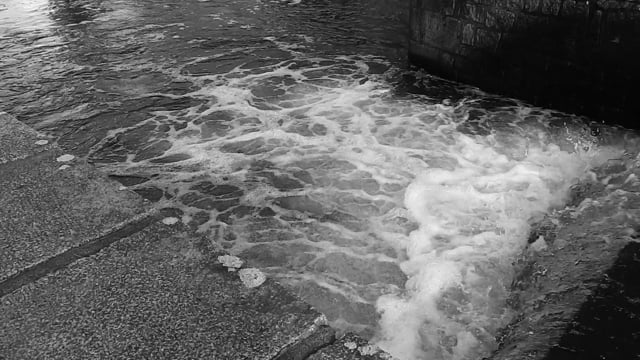 Rafting, River, Running Water. Free Stock Video - Pixabay