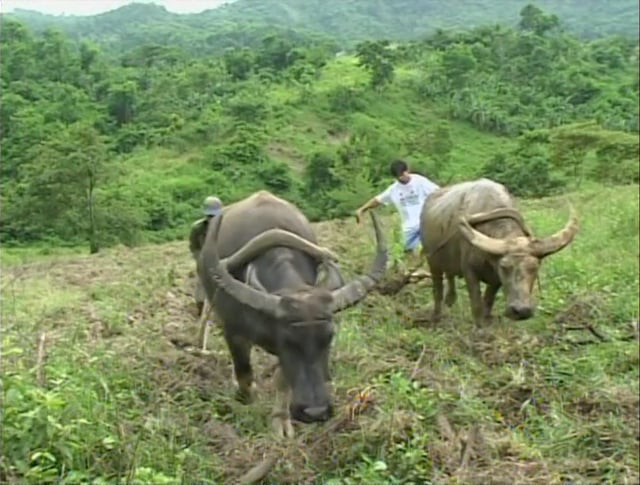 Kankanaey Language on Vimeo