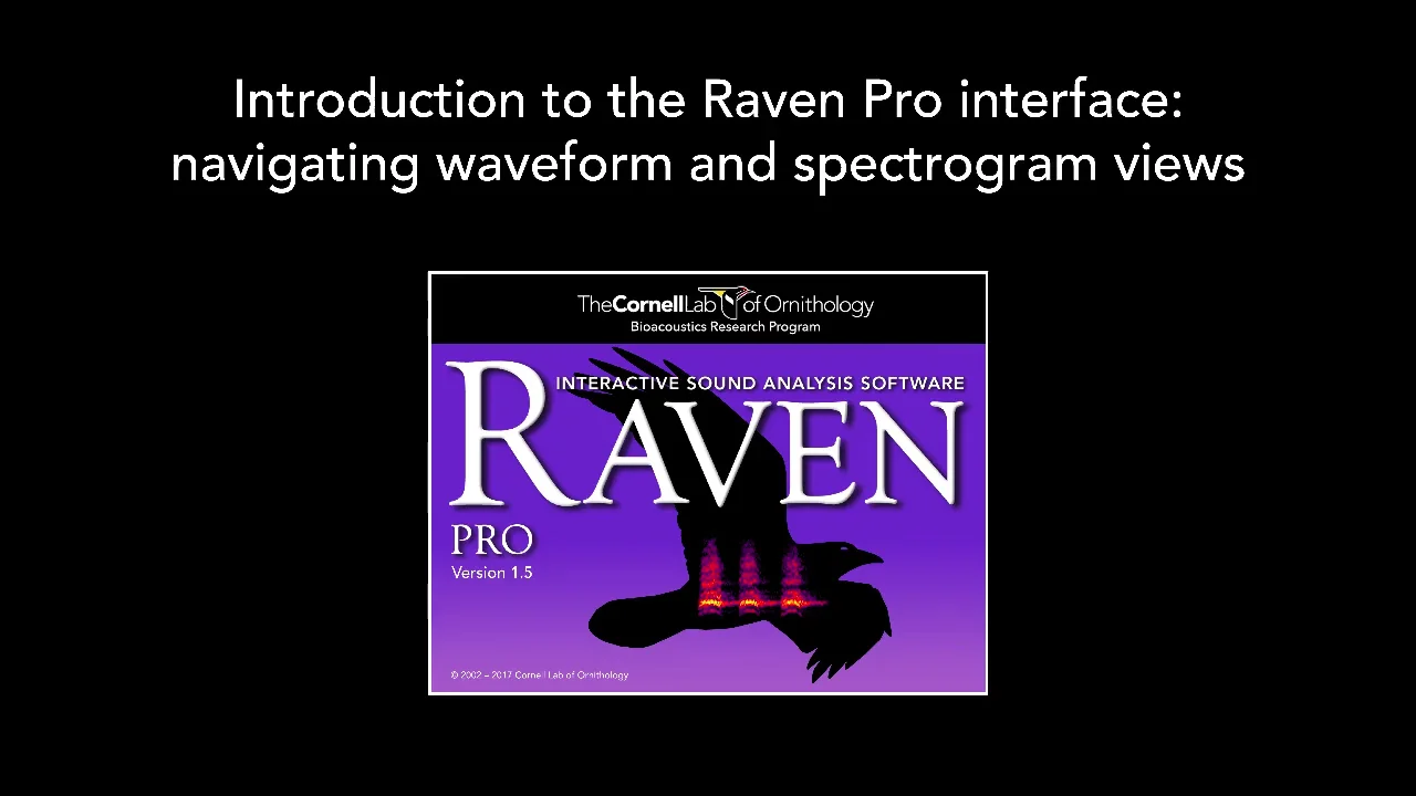 01: Introduction to Raven Pro