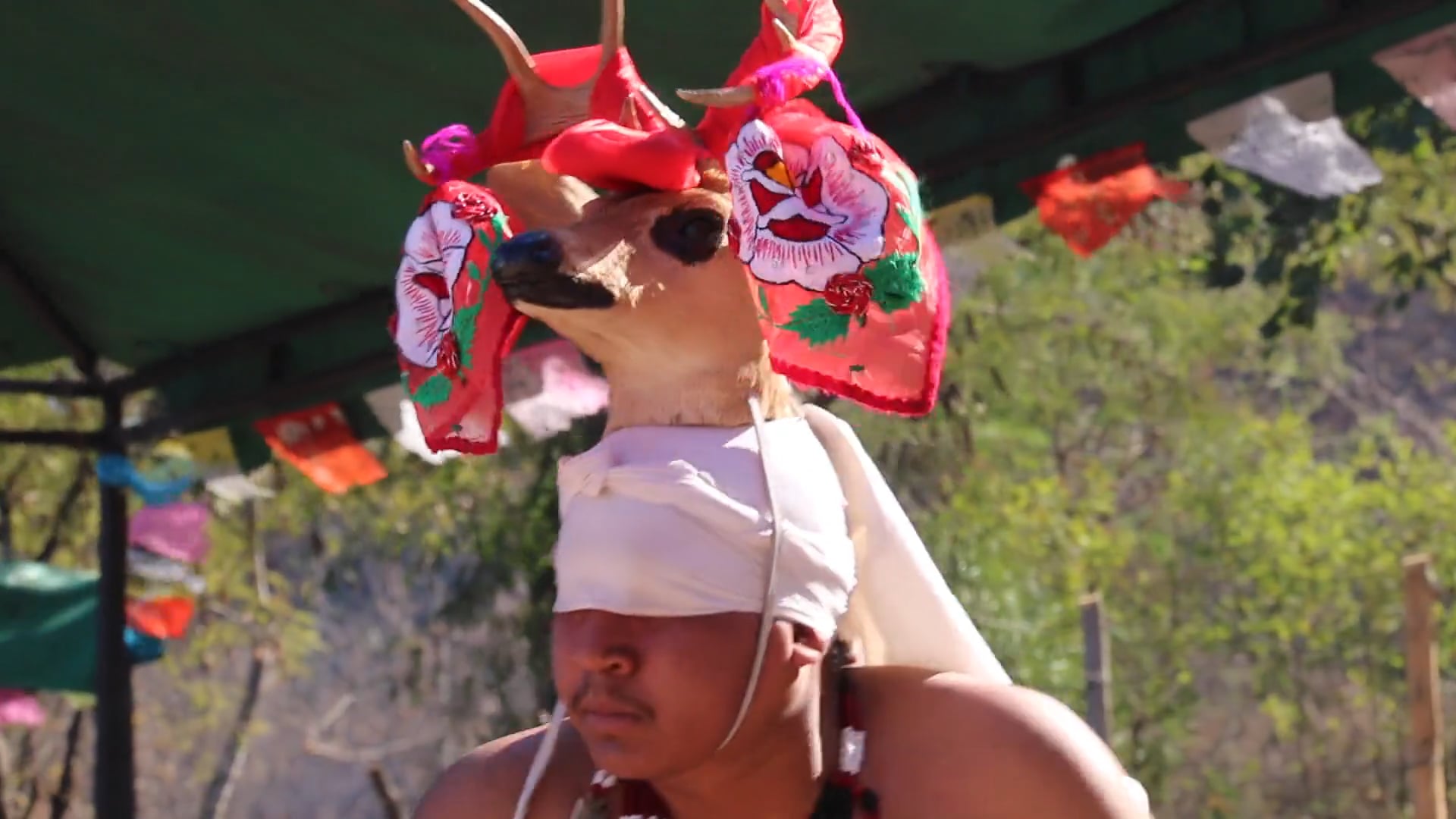 The Deer Dance of the Yaqui and Mayo on Vimeo