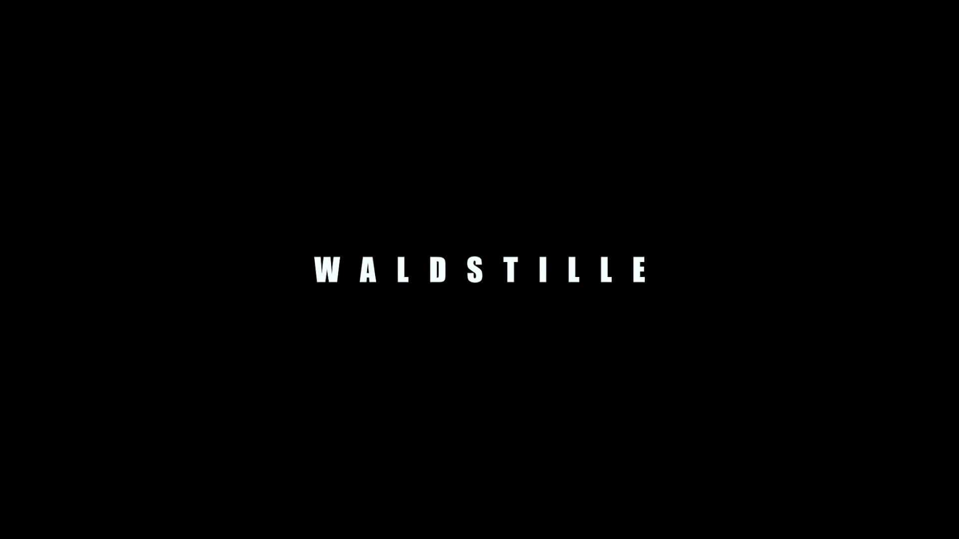 Trailer Waldstille - een film van Martijn Maria Smits on Vimeo
