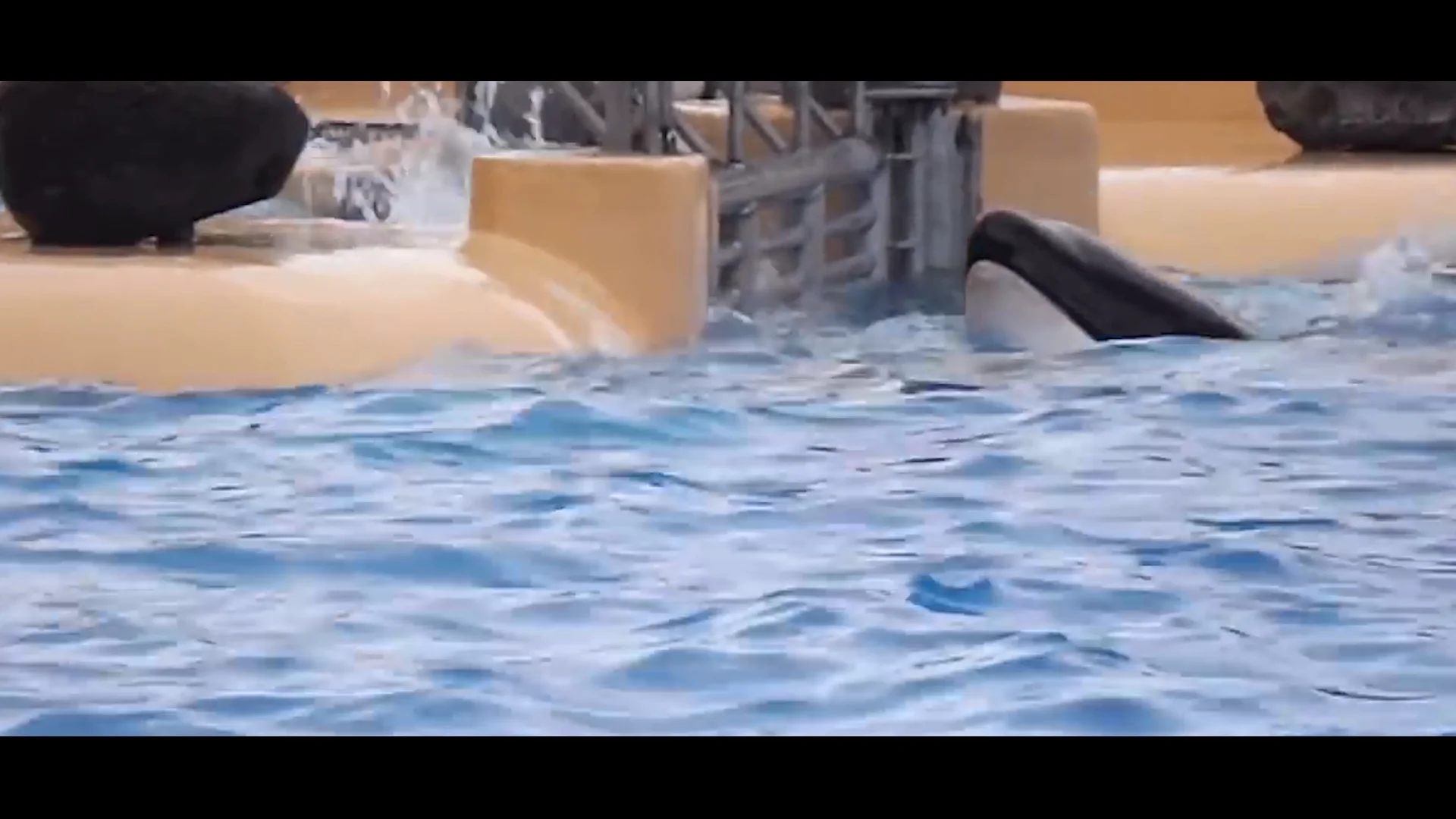 Captivity Kills - Don't buy a Ticket