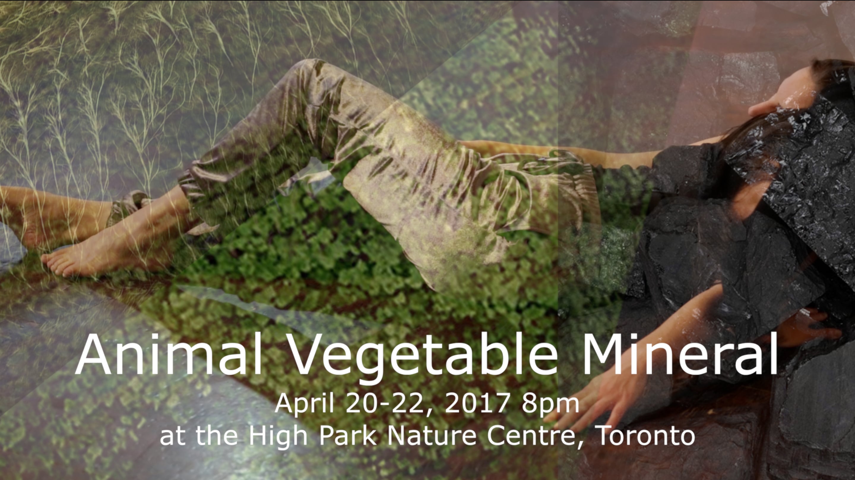 Animal Vegetable Mineral Trailer #4: Bee Pallomina and Kate Nankervis ...