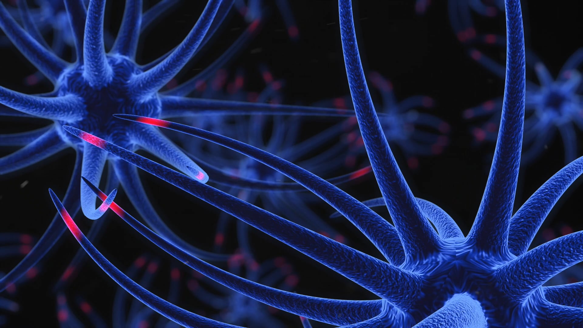 Nerve impulse Animation on Vimeo