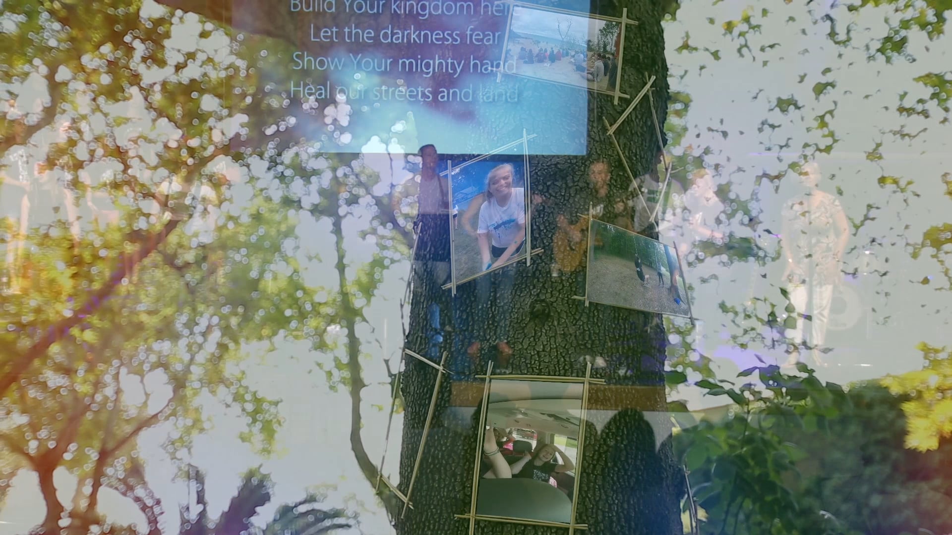 2015-16 Branches Highlights on Vimeo