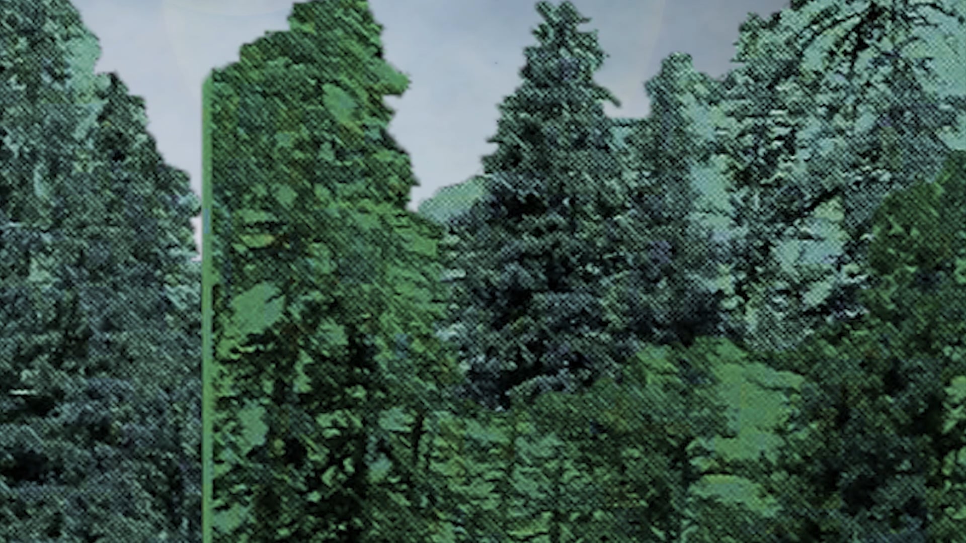 Sequence 06 on Vimeo