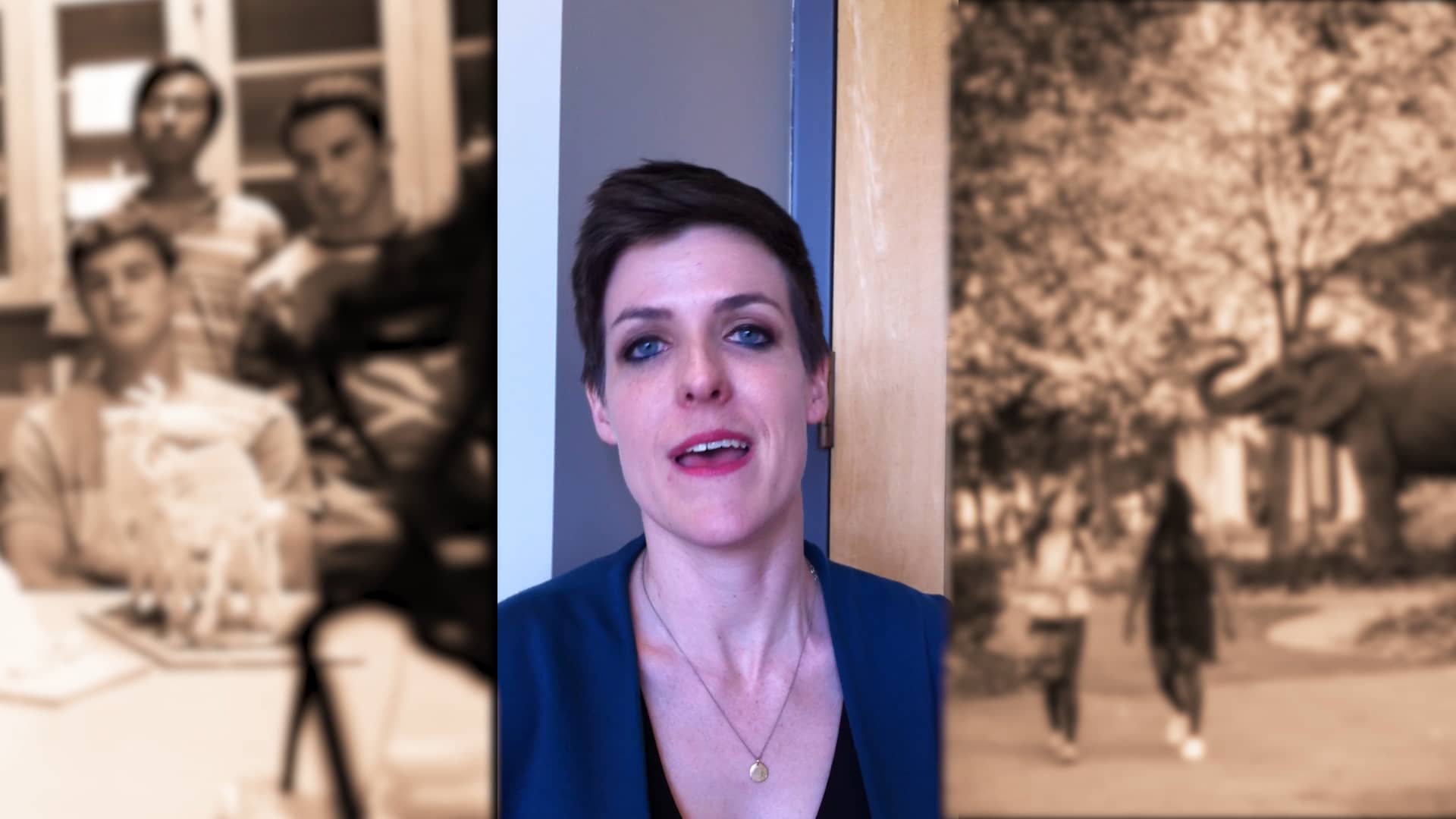 Francophone area video on Vimeo