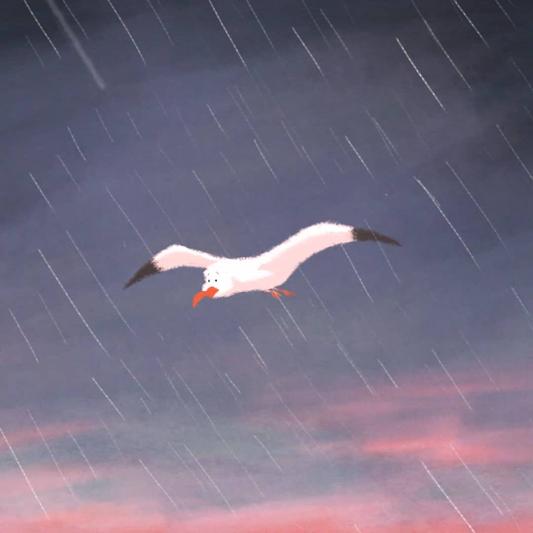 Seagull - Animation on Vimeo
