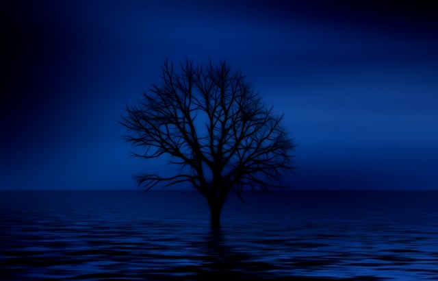 100+ Sad & video, clip HD & 4K Buồn miễn phí - Pixabay