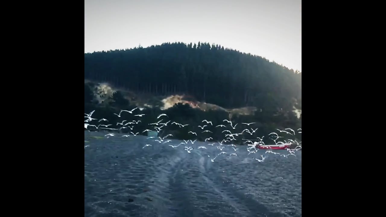 Untitled on Vimeo