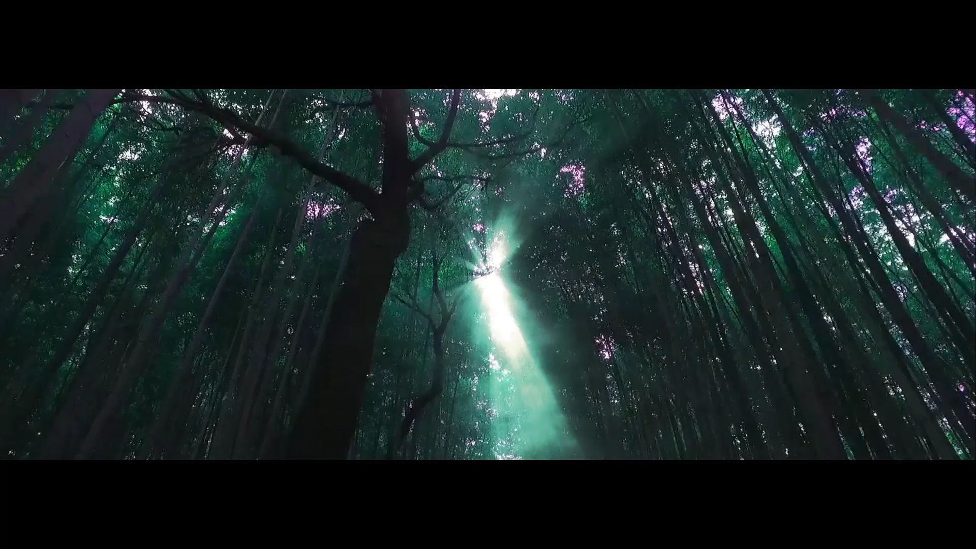 KYOTO 嵯峨野竹林 DJI OSMO x3 cinematic edit on Vimeo